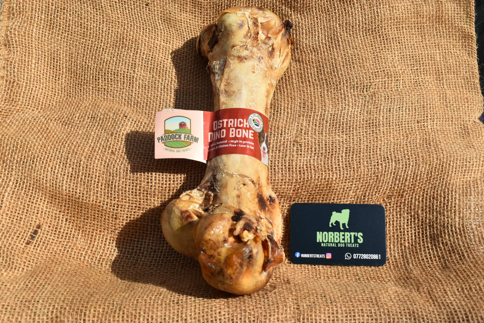 Large Ostrich Bone For Dogs - Norbert's Treats